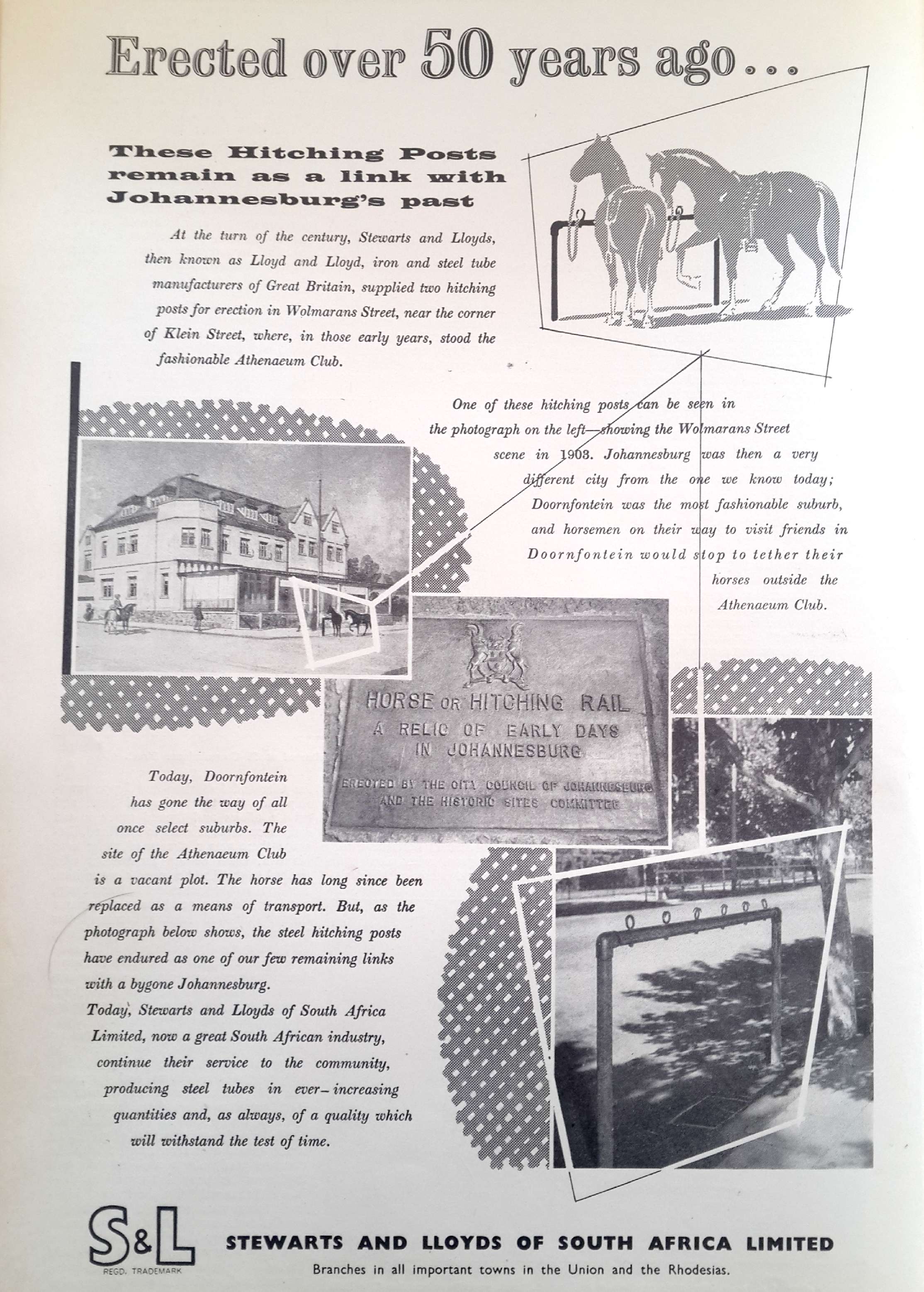 Hitching Posts Advert - Seventy Golden Years.jpg | The Heritage Portal