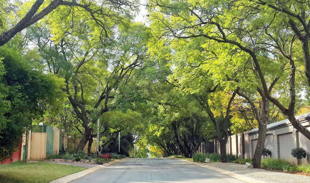 The History of Bryanston | The Heritage Portal