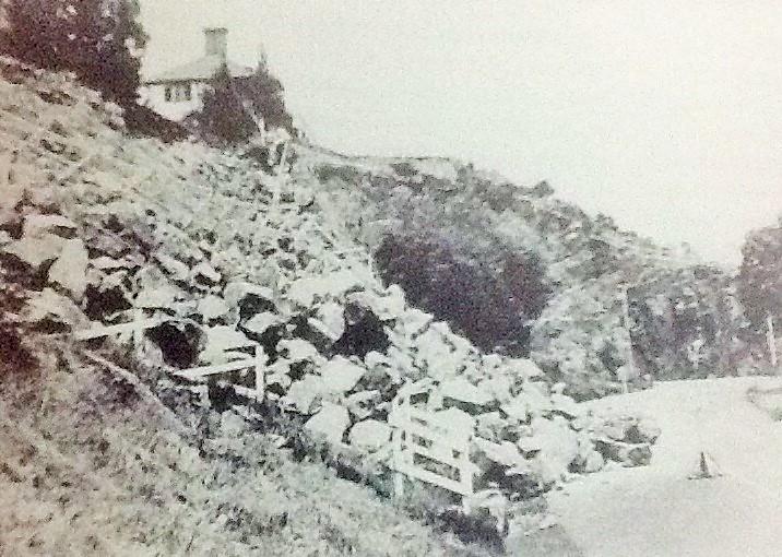 Munro Drive Centenary – Upper Houghton Residents' Association