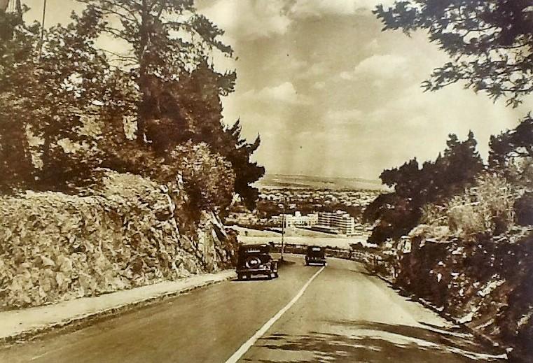 Munro Drive Centenary – Upper Houghton Residents' Association